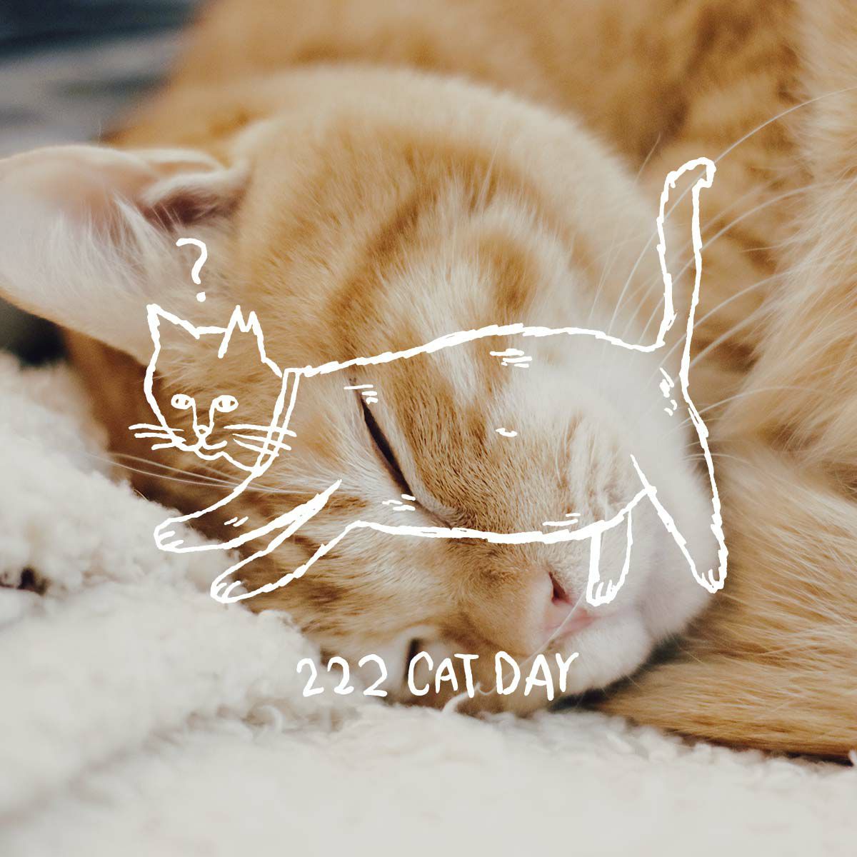 CAT DAY - トートバッグ | JAMMIN